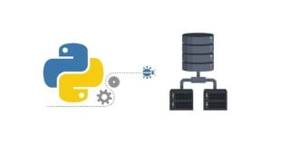 Build a CRUD Application with Python and MariaDB - LiveTalent.org