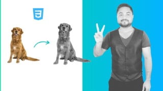 Free CSS Tutorial - CSS Image Filters - Editing Images On The Web (2021) - LiveTalent.org