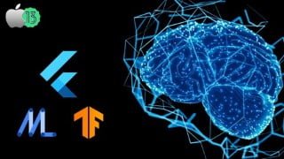 Machine Learning for Flutter - The Complete 2023 Guide - LiveTalent.org