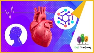 Machine Learning Project: Heart Attack Prediction Analysis - LiveTalent.org