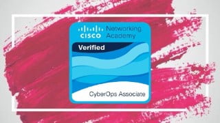 CCNA CyberOps Associate Practice Tests - LiveTalent.org