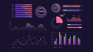 Data Analysis Bootcamp™ 21 Real World Case Studies - LiveTalent.org