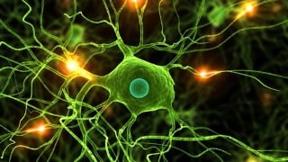 Data Science: Deep Learning and Neural Networks in Python - LiveTalent.org