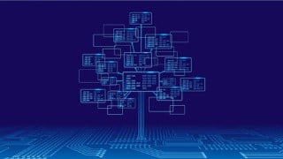 Date and Time Fundamentals in .NET and SQL Server - LiveTalent.org