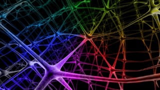 Deep Learning: Convolutional Neural Networks in Python - LiveTalent.org