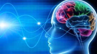 Free Focus Mastery Tutorial - How to create Flow - LiveTalent.org