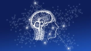 Free Personal Development Tutorial - Personal Development Tool Box ...