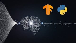 Intro to Deep Learning project in TensorFlow 2.x and Python - LiveTalent.org