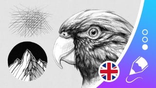 Learn to Draw with the S-Method – PART 1: Stroke Control - LiveTalent.org