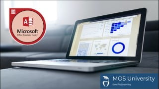 MO-500 Microsoft Access Expert Certification - LiveTalent.org