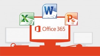 MS Office 365 - LiveTalent.org