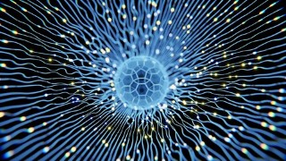 Neural Networks with TensorFlow and PyTorch - LiveTalent.org