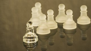 Program Management - LiveTalent.org