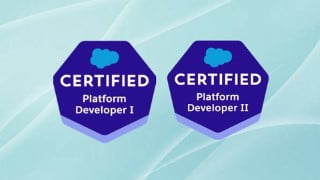 Salesforce Certified Platform Developer 1 and 2 Exam Tests - LiveTalent.org