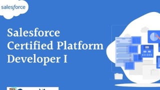 Salesforce Platform Developer 1 test with detail explanation ...