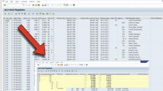 SAP Using SAP-GUI Lists - AVL-Grids - LiveTalent.org