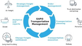 Transportation Management in SAP S/4HANA 2020 - LiveTalent.org
