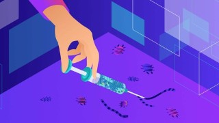 OWASP TOP 10: SQL injection ~2023 - LiveTalent.org