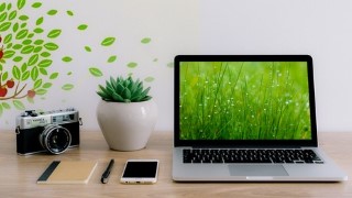 Spring Framework for Beginners - LiveTalent.org