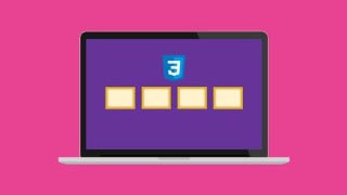 The CSS Flexbox Guide: Build 5 Real Flexible Projects! - LiveTalent.org