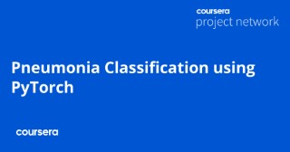 Pneumonia Classification using PyTorch - LiveTalent.org