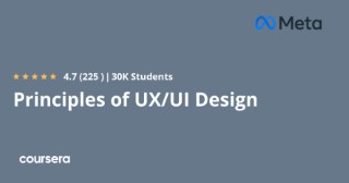 Principles of UX/UI Design - LiveTalent.org