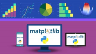 Comprehensive Data Visualization with Matplotlib in Python - LiveTalent.org
