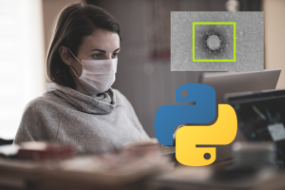 Computer Vision: YOLO Custom Object Detection with Colab GPU - LiveTalent.org