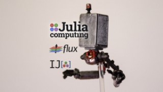 Julia Programming Language - From Zero to Expert - LiveTalent.org