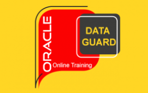 Oracle Data Guard Online Training - LiveTalent.org