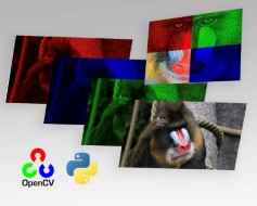 Computer Vision for Beginners with OpenCV and Python - LiveTalent.org